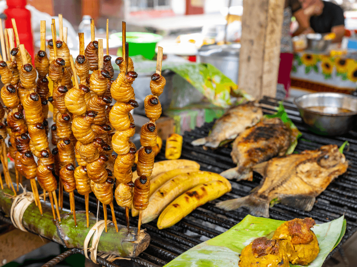 Comida exótica del Perú: platos únicos que debes probar